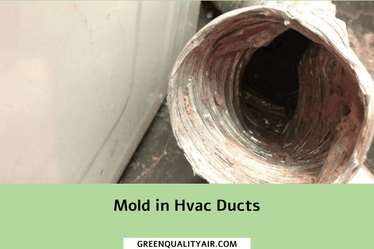 Mold in Hvac Ducts - Green Quality Air